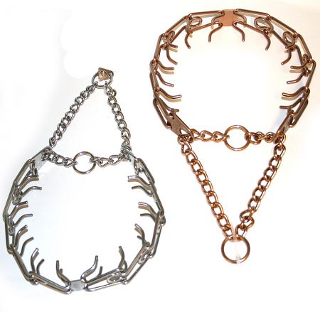 Stachelband - Fachhandel Hundesportbedarf