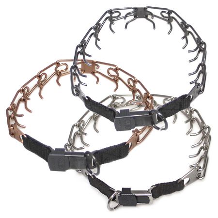 Stachelband - Fachhandel Hundesportbedarf