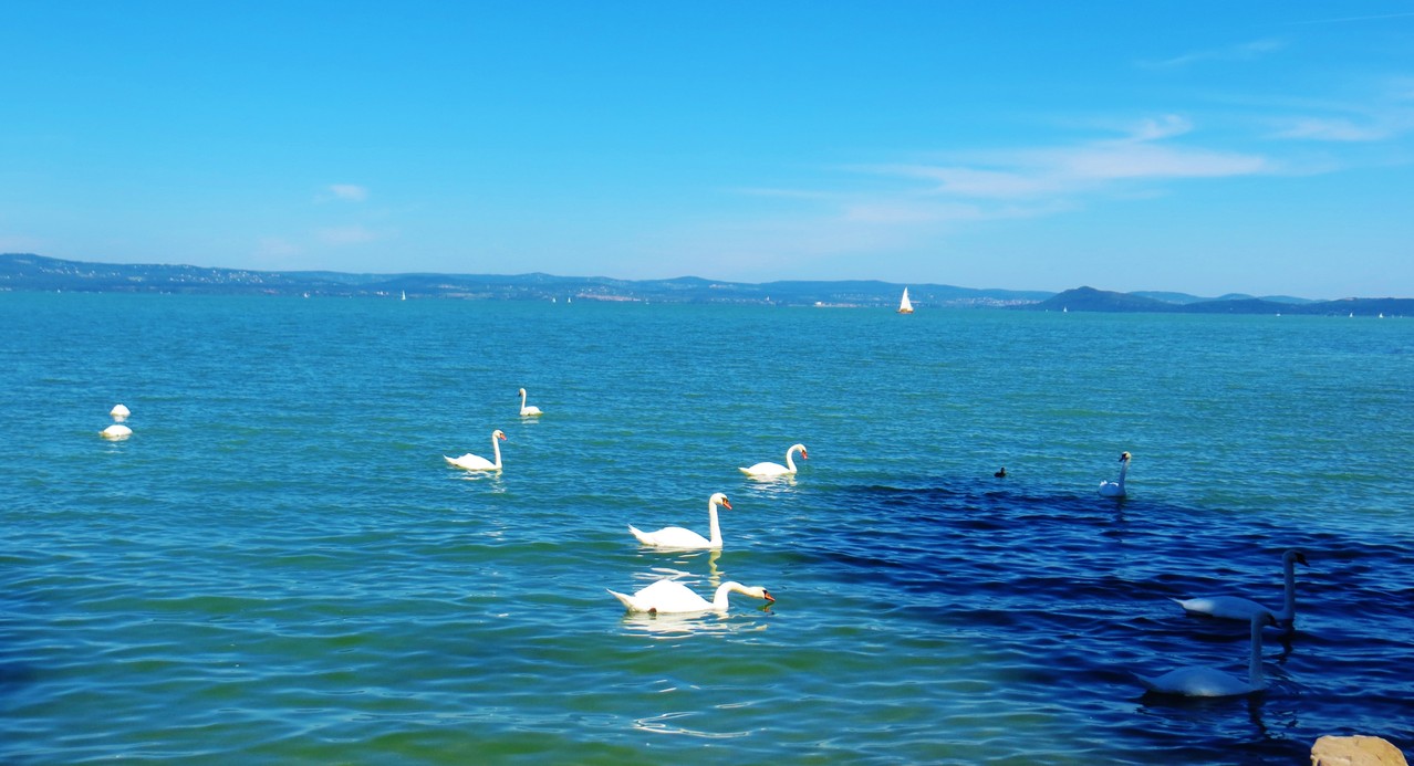 Aktivitäten & Infos zum Ort - Ferienhaus Plattensee