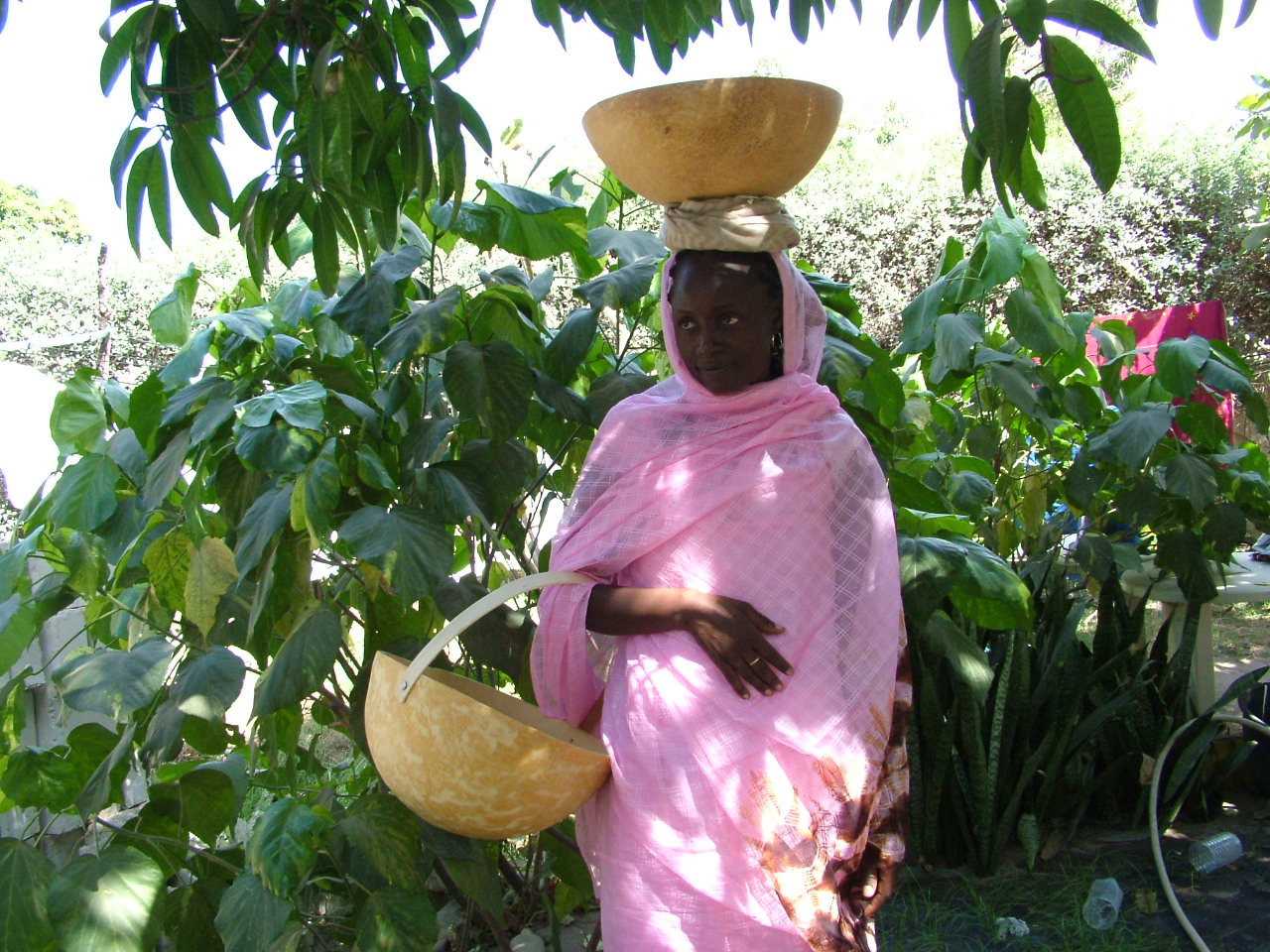 Sur les Traces de la Calebasse - Voyages au Sénégal