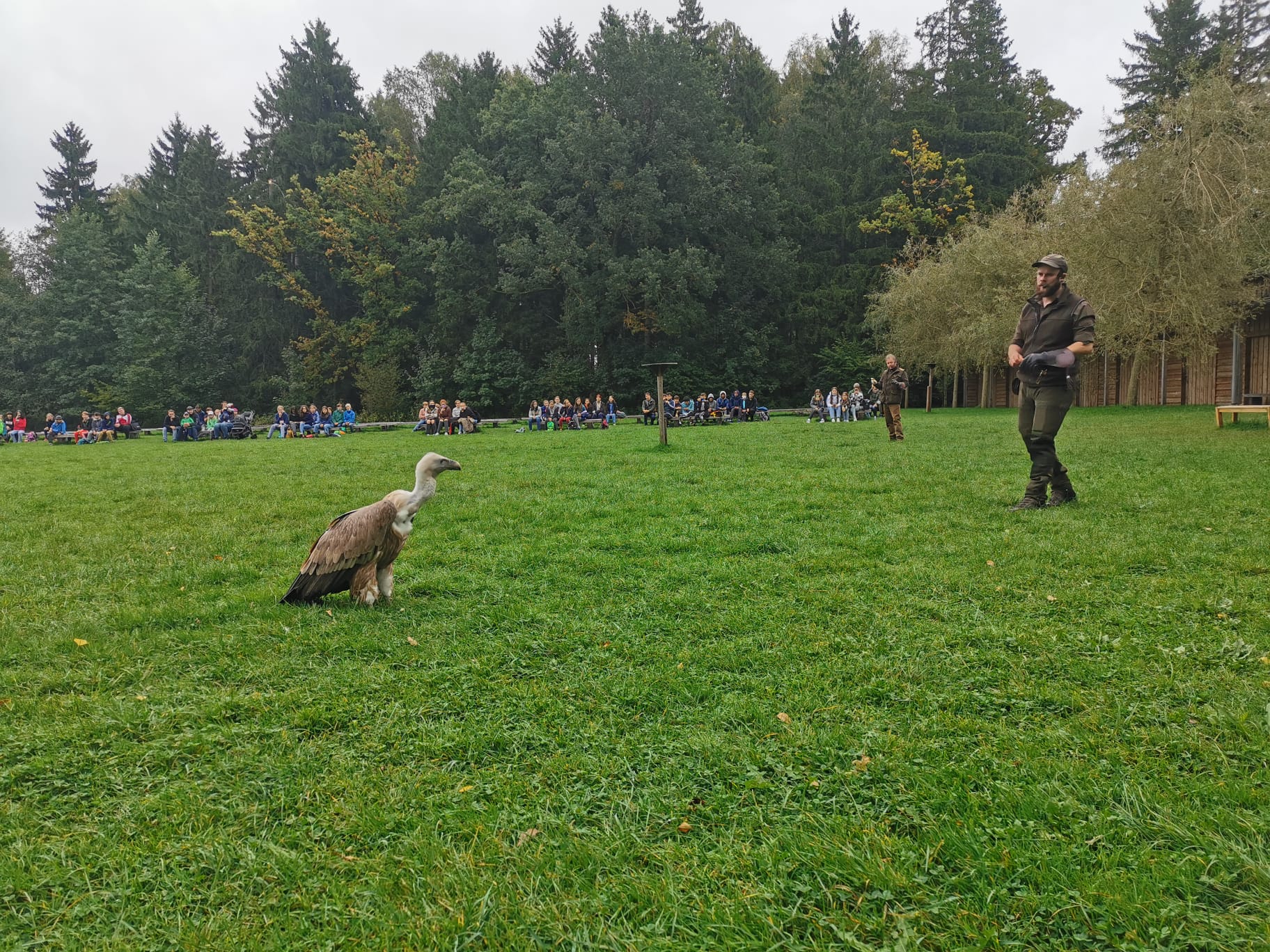 Zusammen im Tierpark Poing - werner-von-siemens-mittelschuls Webseite!