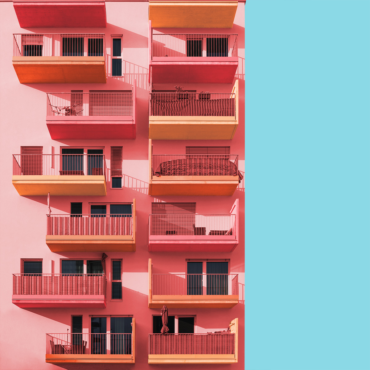 pink architect