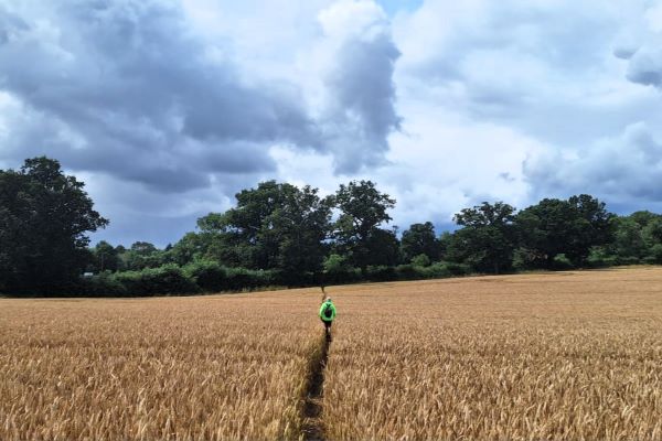 A Walk Around Hatton Locks - Hampton Walking
