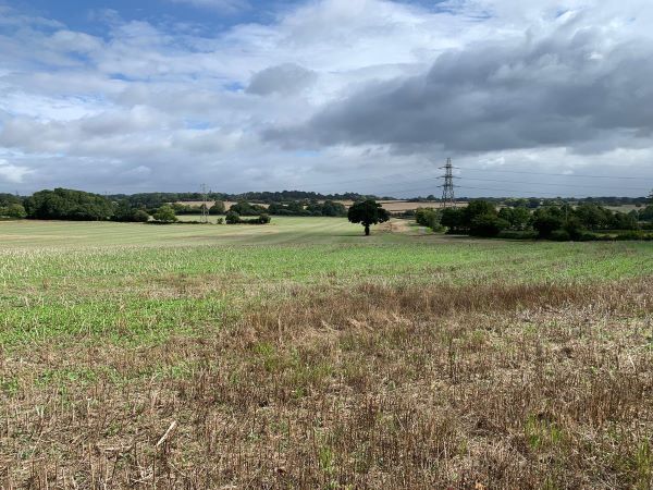A Hike from Kenilworth - Hampton Walking