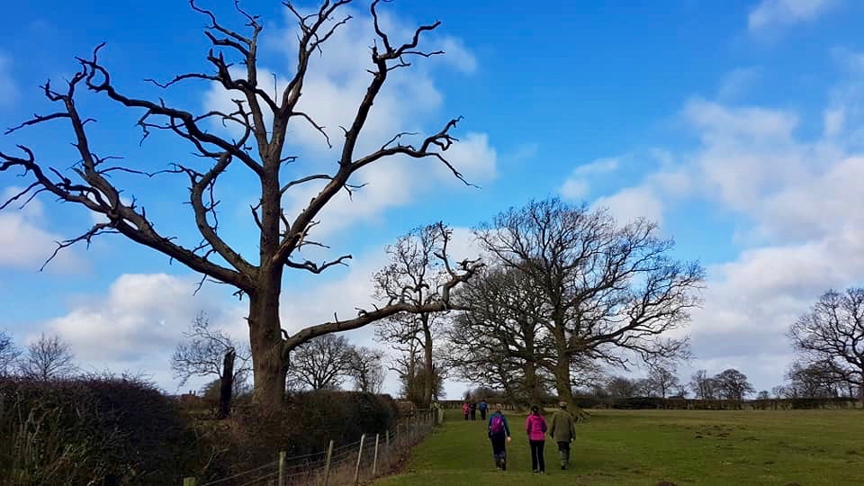 3 Ways Round Berkswell - Hampton Walking