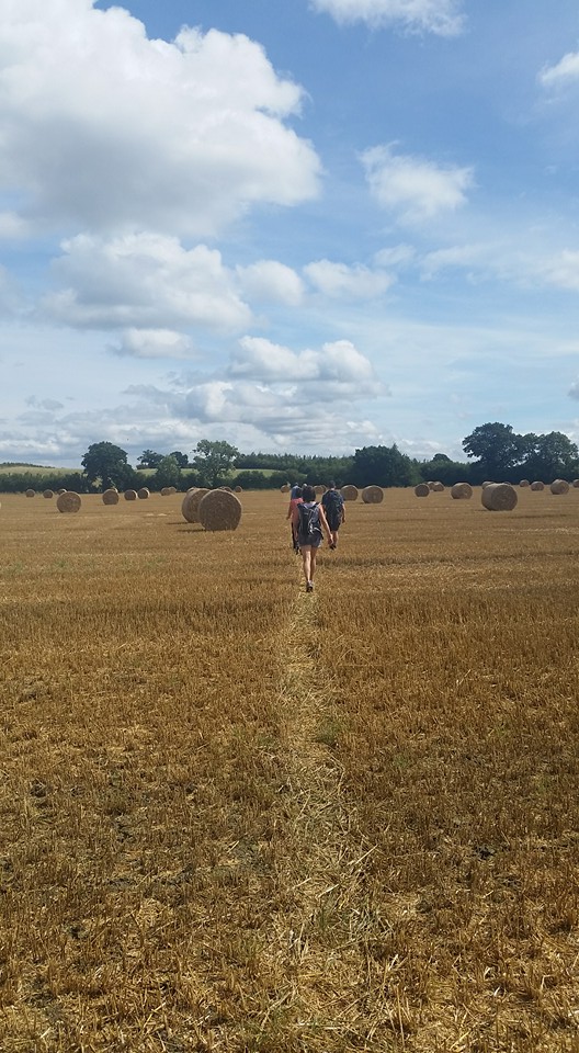 Circular Walk from Henley-in-Arden along the Arden Way to Morton Bagot ...