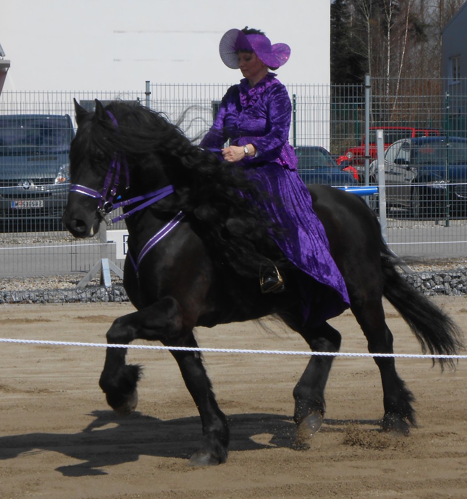 Privates Sommerfest bei Frau Lisl Funder, St. Veit an der Glan 22.-23. ...