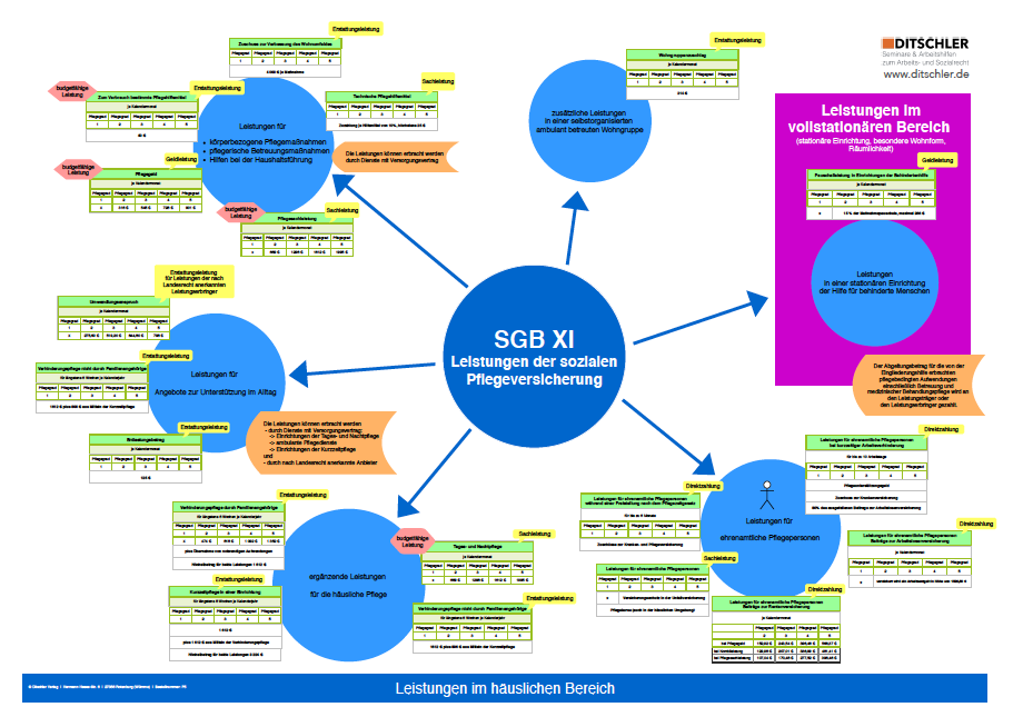 Leistungen der sozialen Pflegeversicherung Lernposter - Ditschler