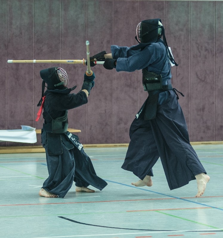Tengu-Cup 15./16.06.2013 - kendo-hanaus Webseite!