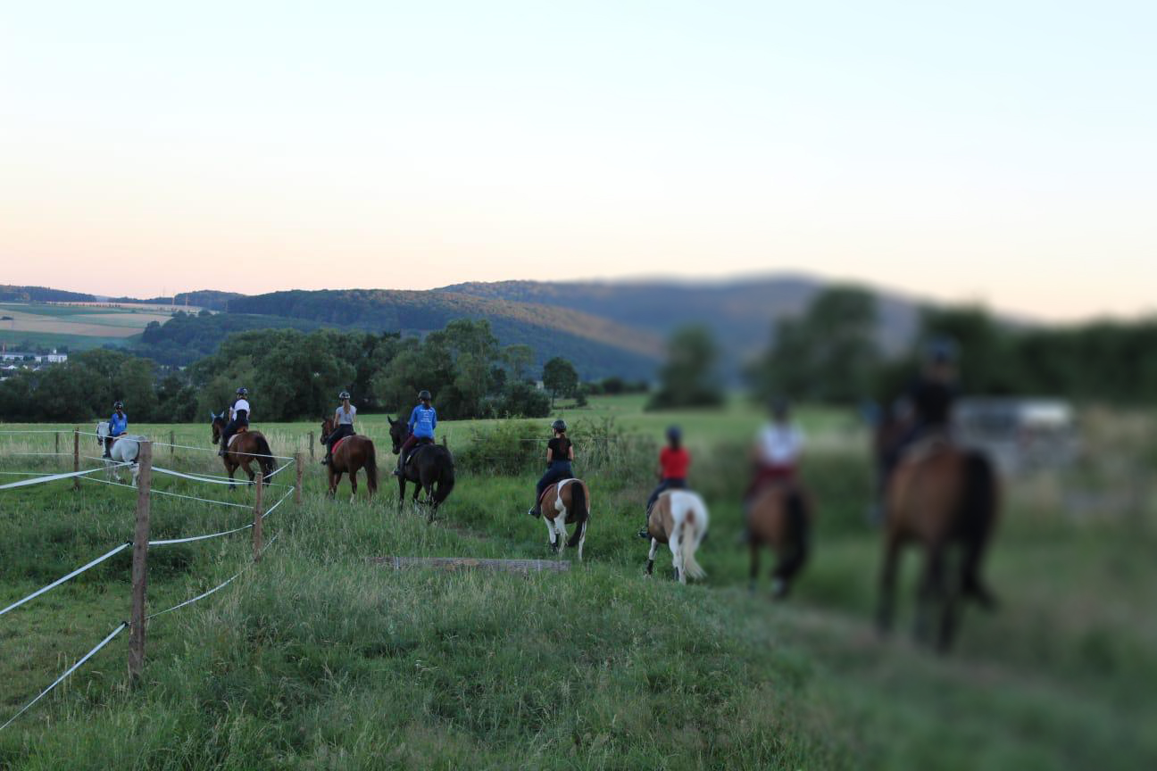 Theorie-Unterricht - Reiten mit Spaß und Erfolg