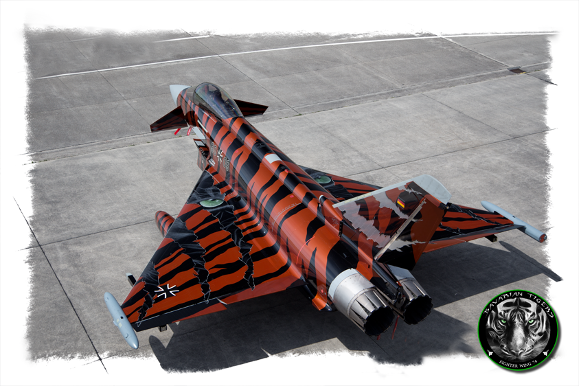THE BIRTH OF THE FIRST COMPLETE PAINTED TIGER FIGHTER - WORLDWIDE ...