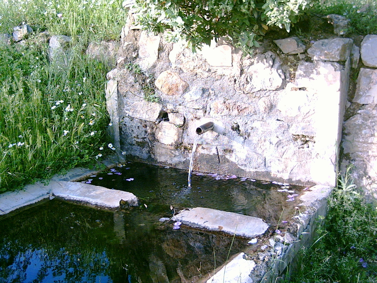 El Fontanar - ALCAUDETE