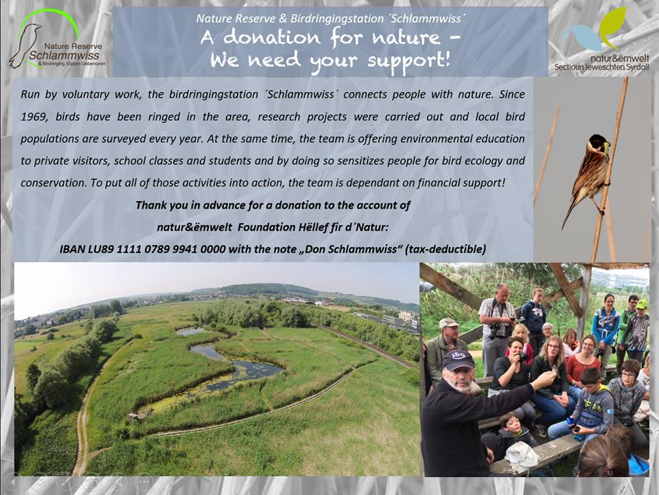 A donation for nature - Naturschutz Ieweschtesyrdall Schlammwiss ...