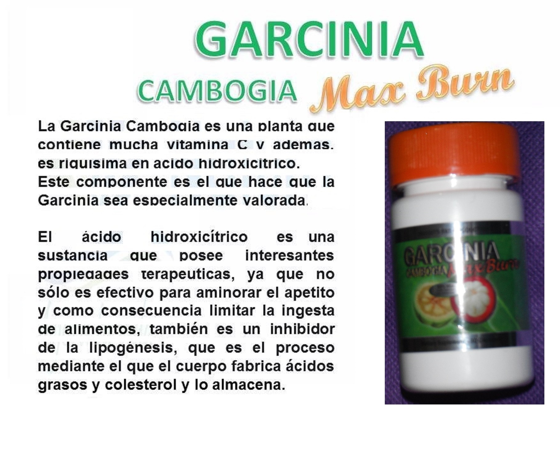 Garcinia Cambogia Max Burn - Página web de rapidlyslimming