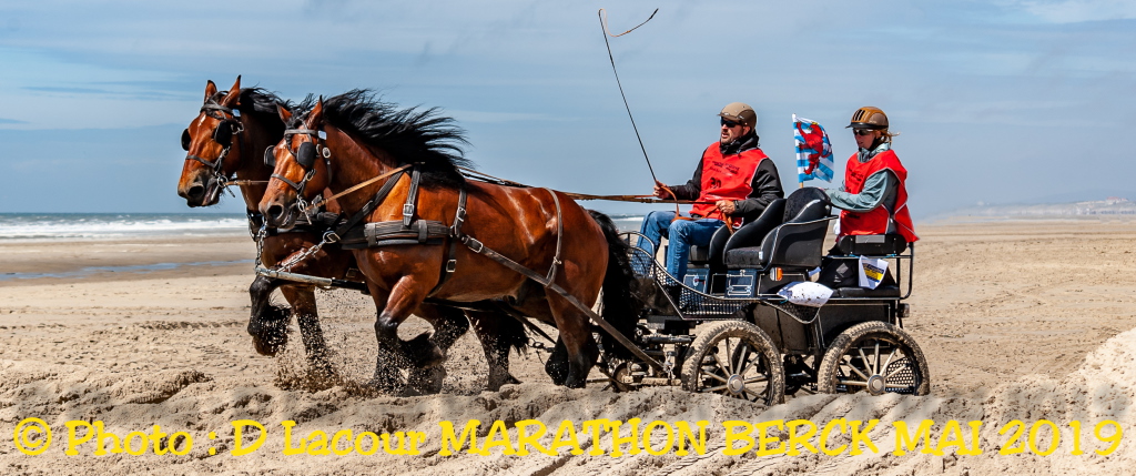 Marathon de sable 2022 - Ardenner du Schetzenbierg Webseite!