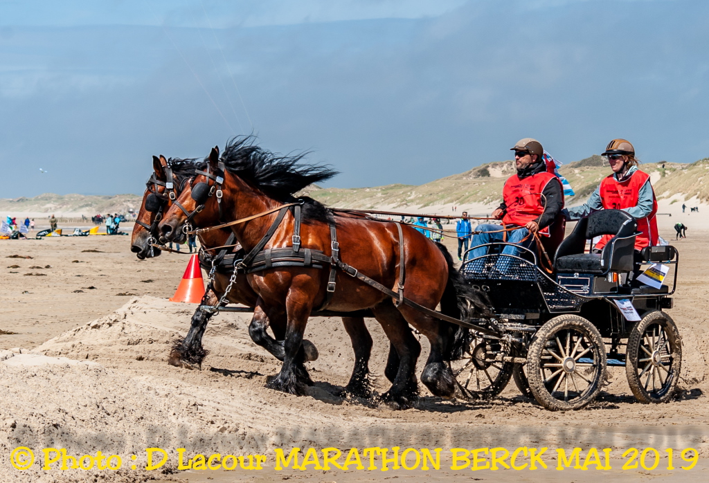 Marathon de sable 2022 - Ardenner du Schetzenbierg Webseite!