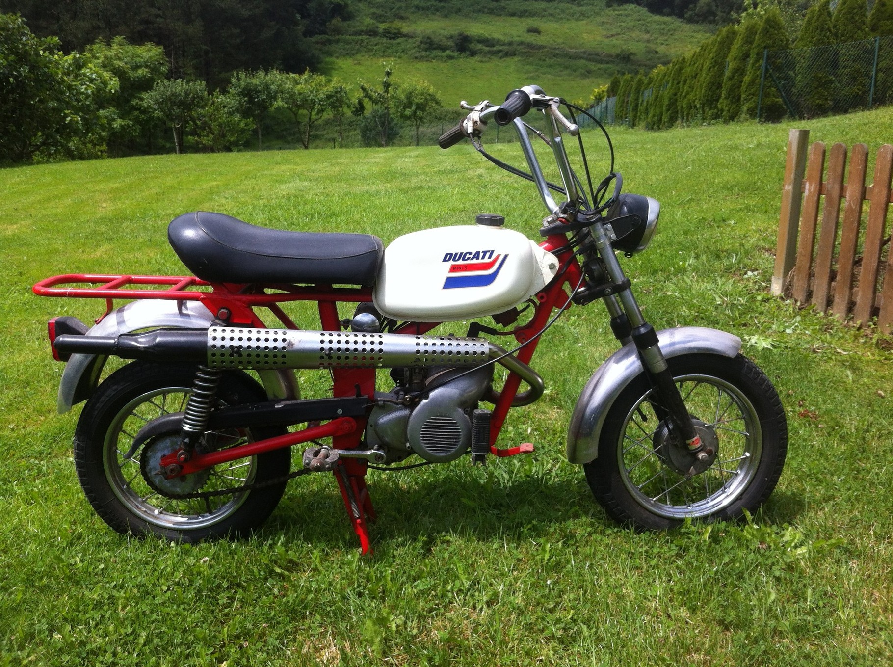 Registro de Ducatis Mini en España - Viva Ducati!