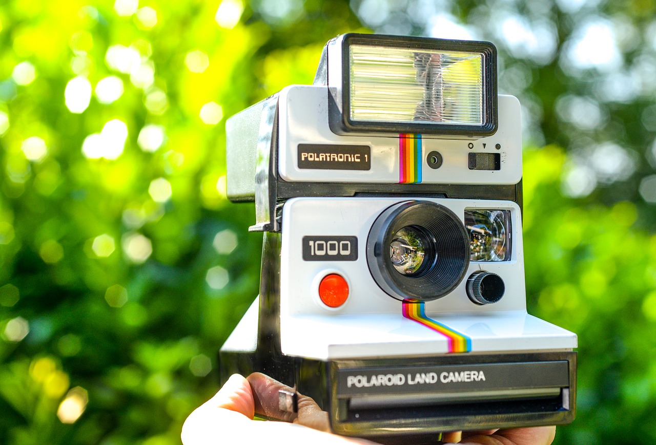 Polaroid Collection - Polaroid Collection