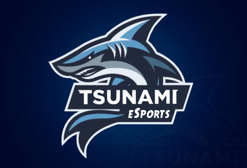 Team Tsunami eSports - Página web de tsunami-esports