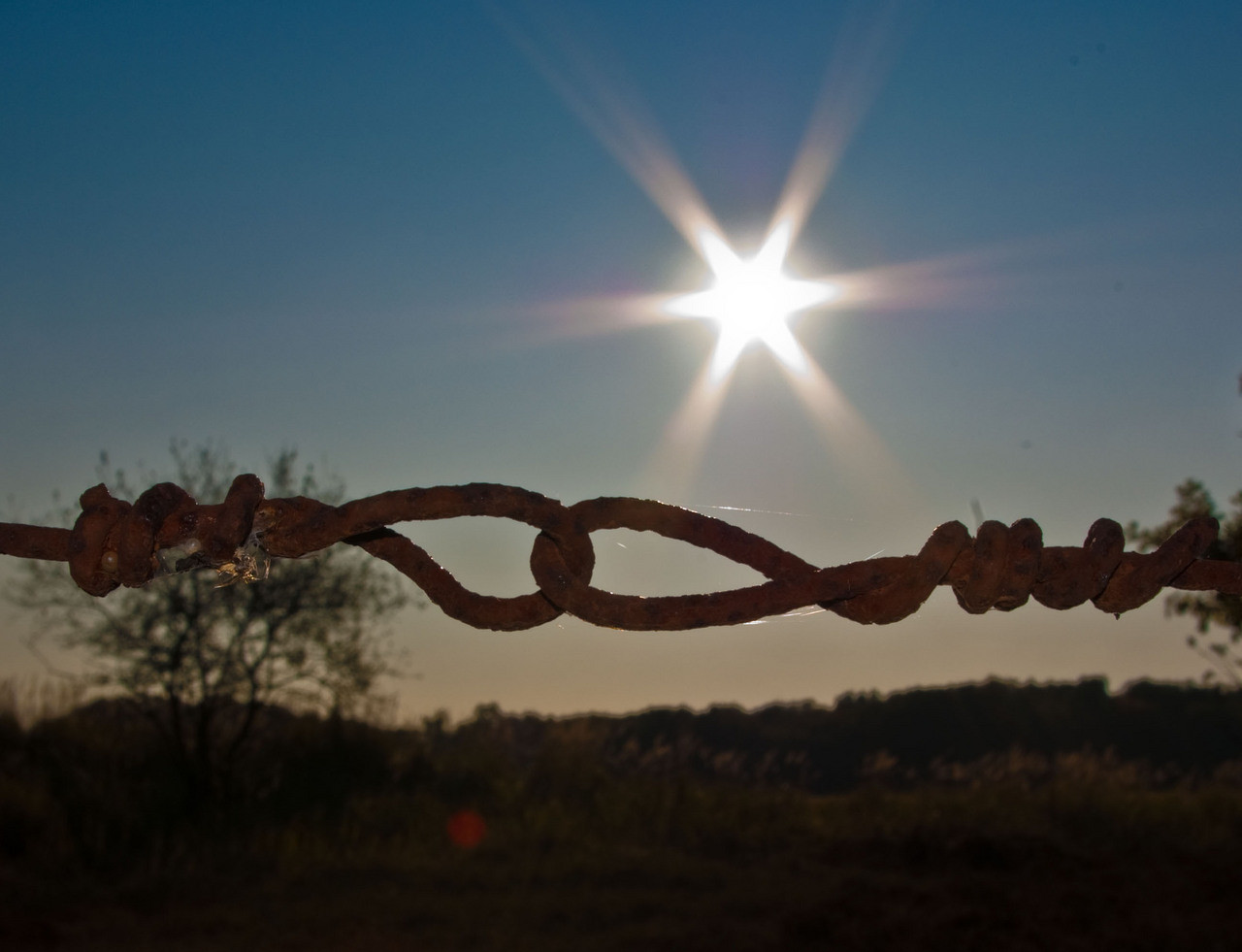 Verbundenheit - Meine wunderbare Welt
