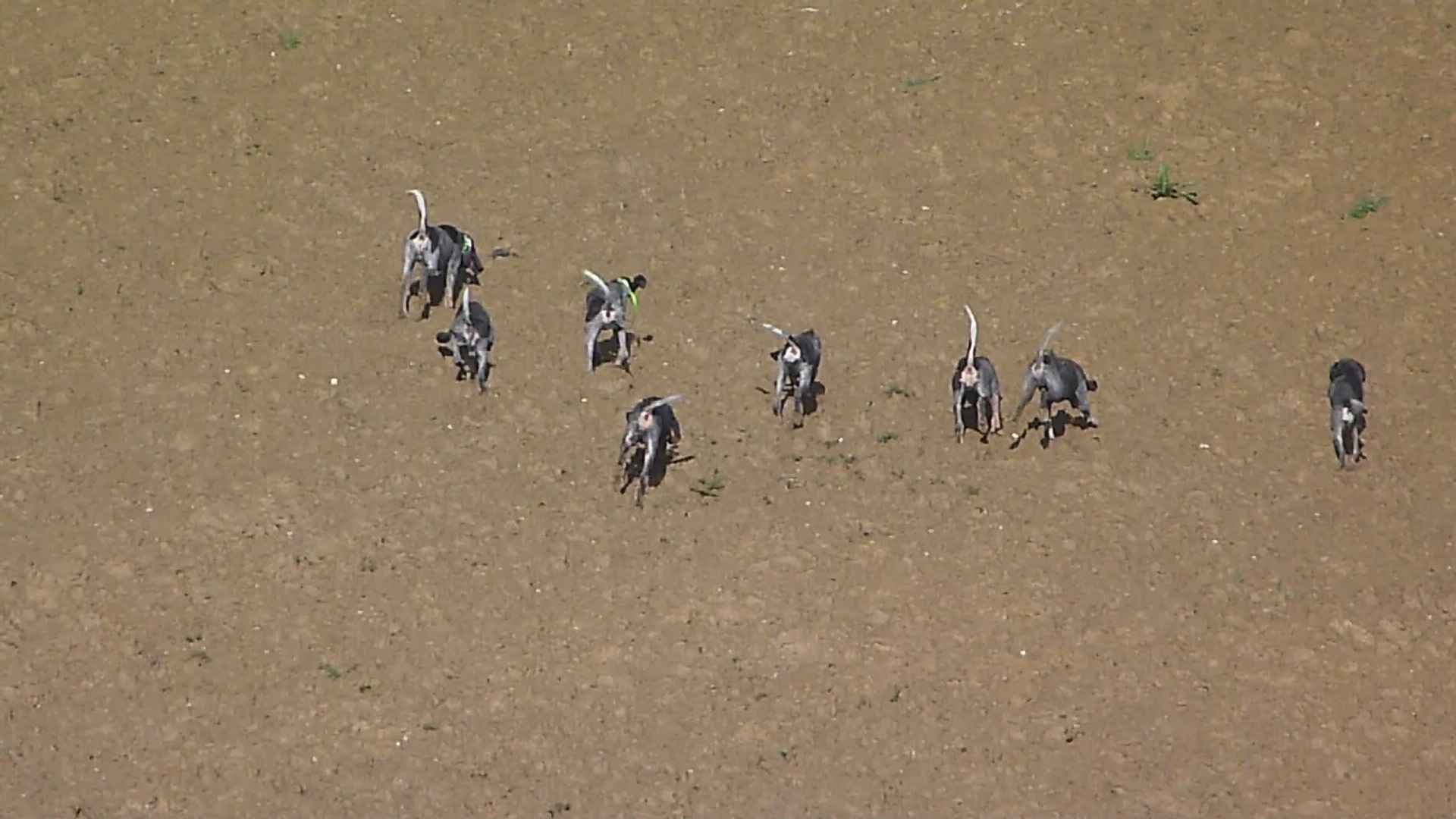 Accueil - Site de votre AFACCC 81