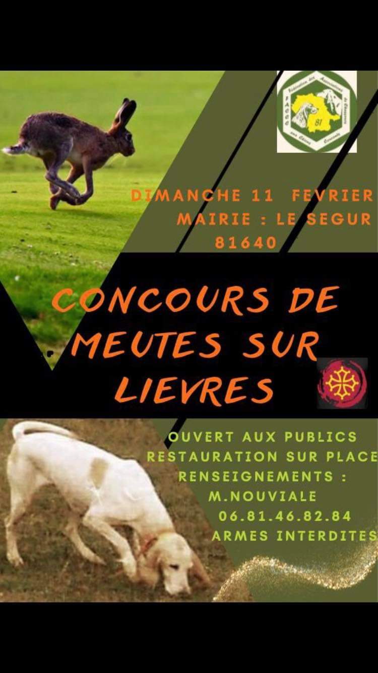 Accueil - Site de votre AFACCC 81