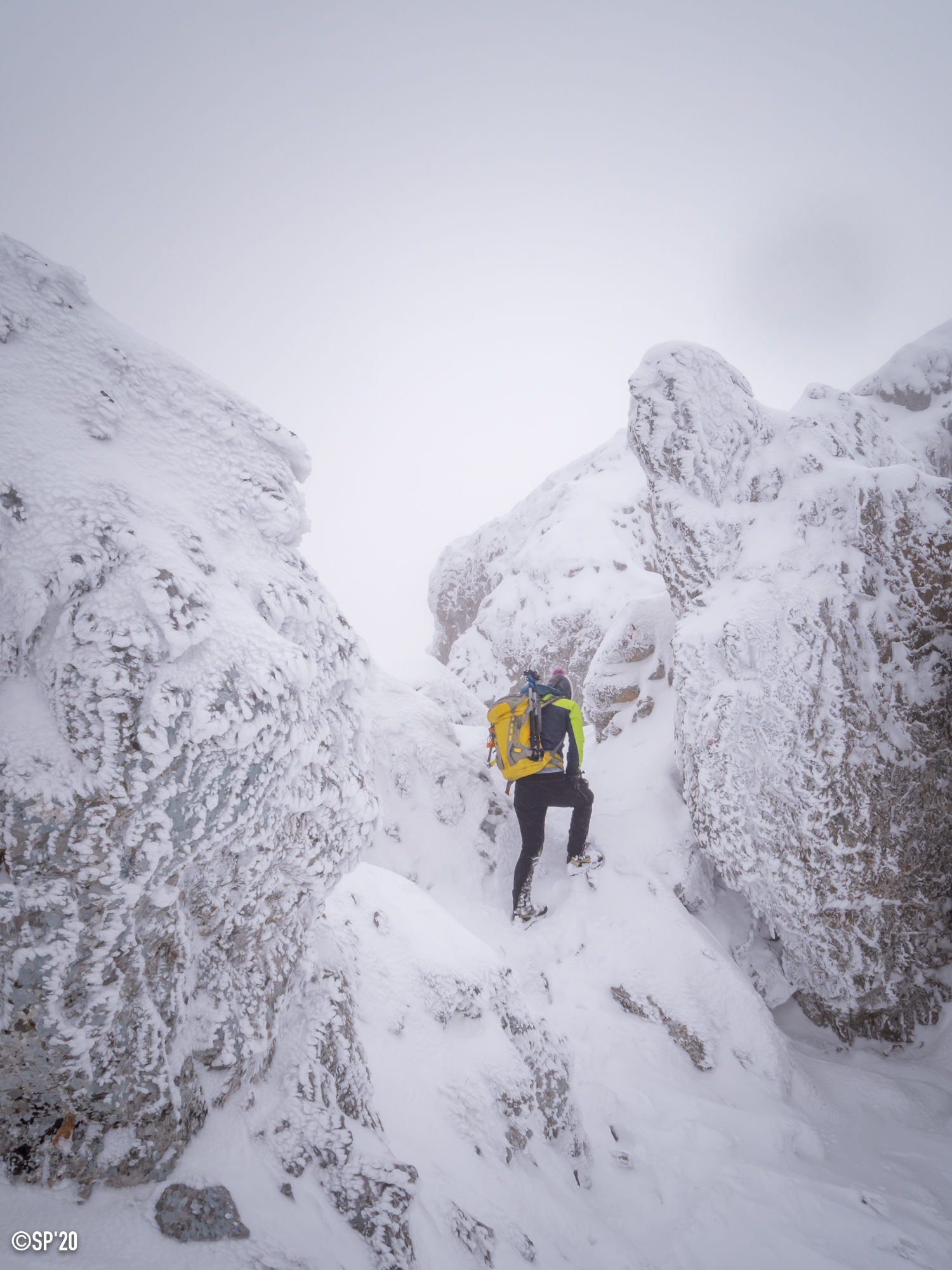 Schneeberg: Novembergrat im Winter - BERG&foto