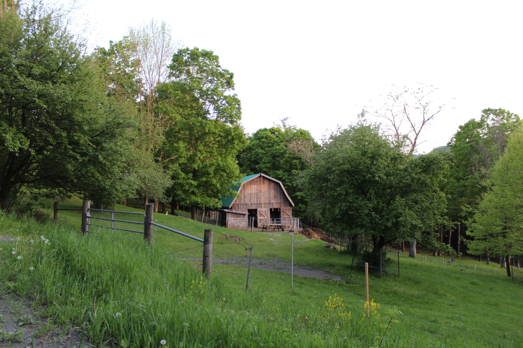 Welcome to the Dillner Hillside Farm - Dillner Hillside Farm