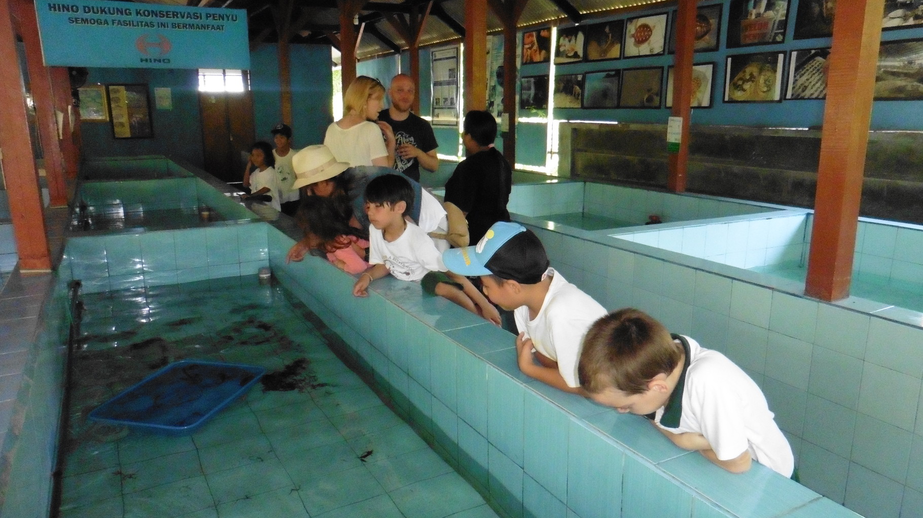 see arround - www.tcecserangan.jimdo.com