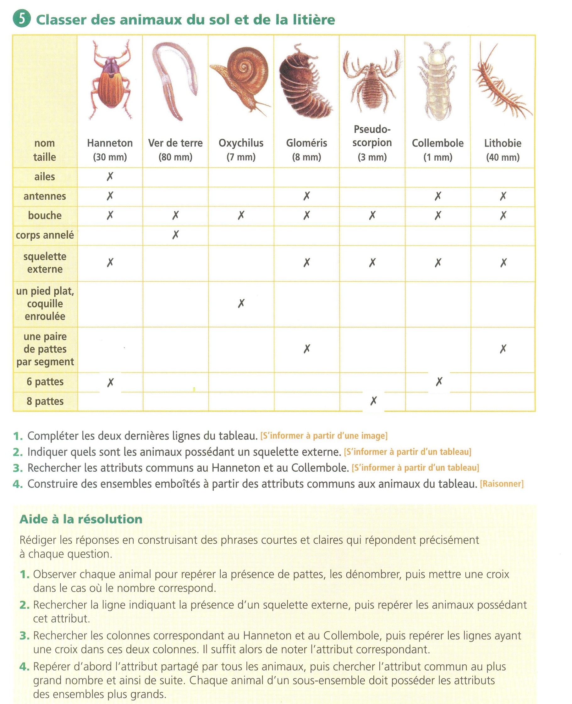 L2 sol - Site de svt-ostrevant