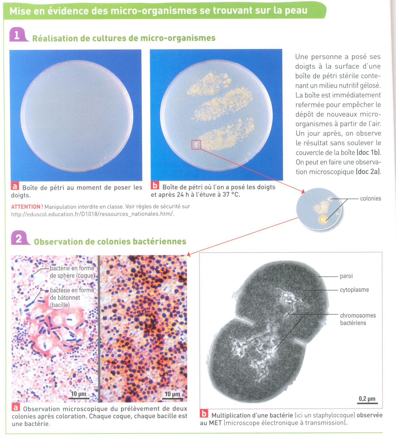 Leçon 1 immuno2012 - Site de svt-ostrevant