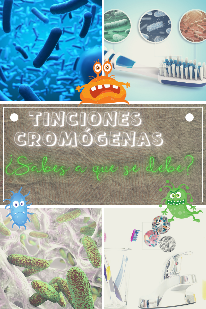 Tinción cromógena - Página web de higienedentalaldia