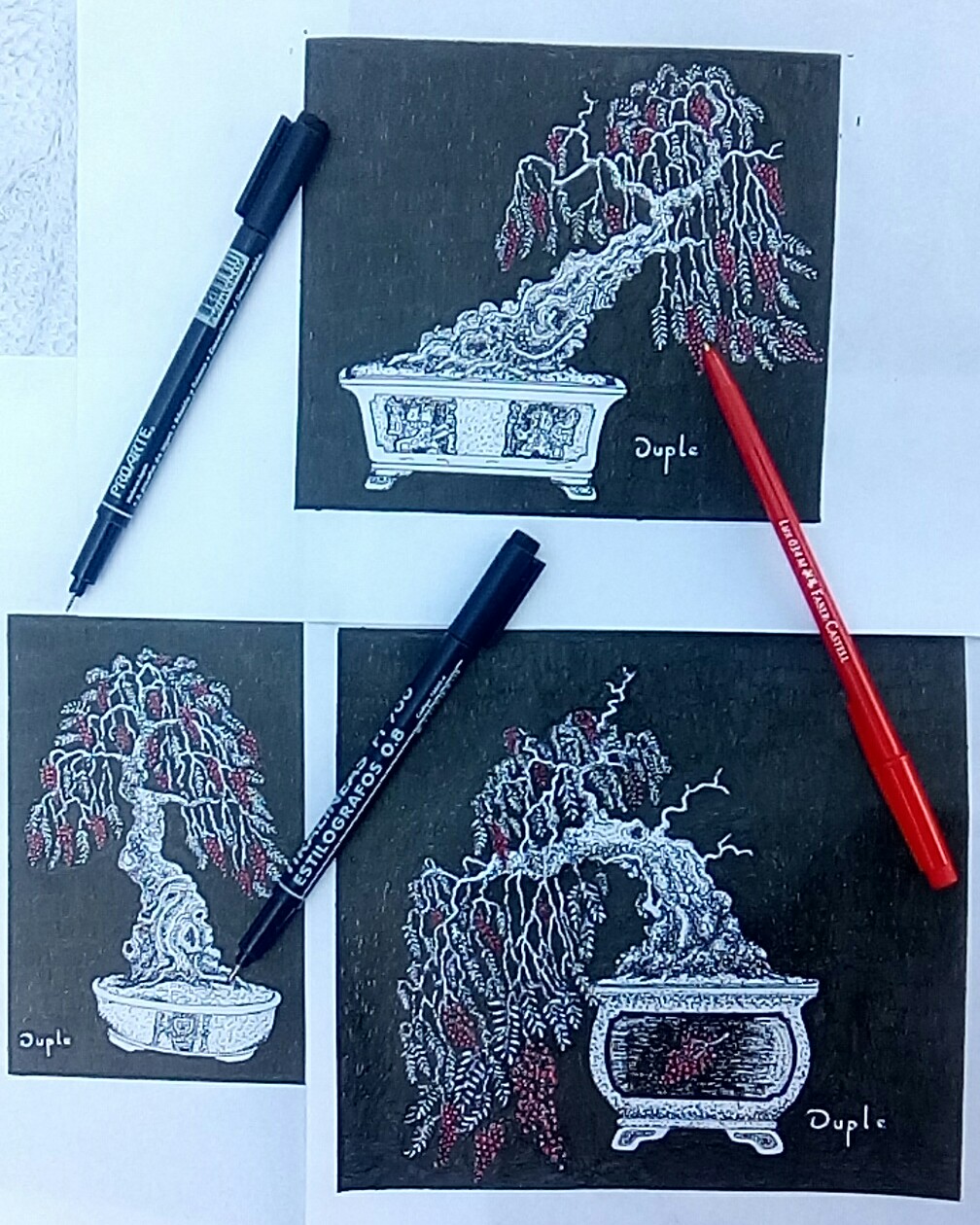 Dibujo Bonsai - Página web de bonsailatinoamericaoficial