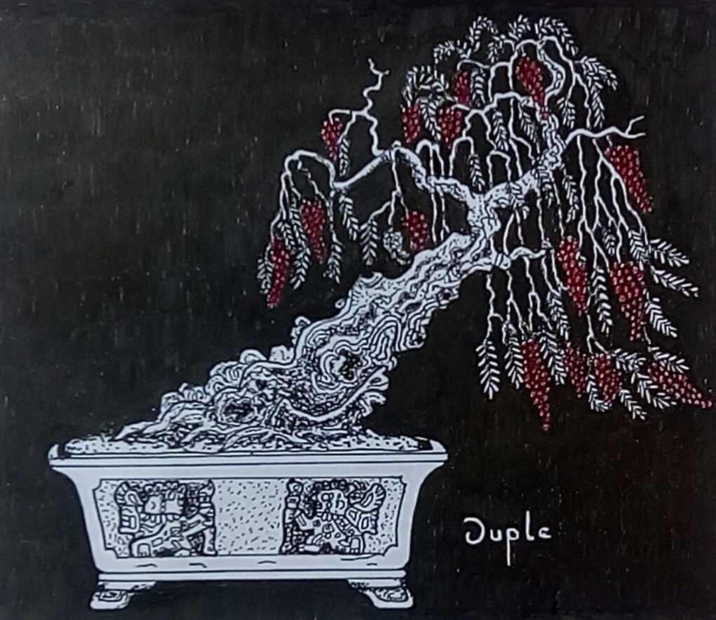 Dibujo Bonsai - Página web de bonsailatinoamericaoficial