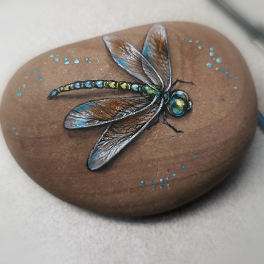 40 x 60 cm - Marion Kaiser