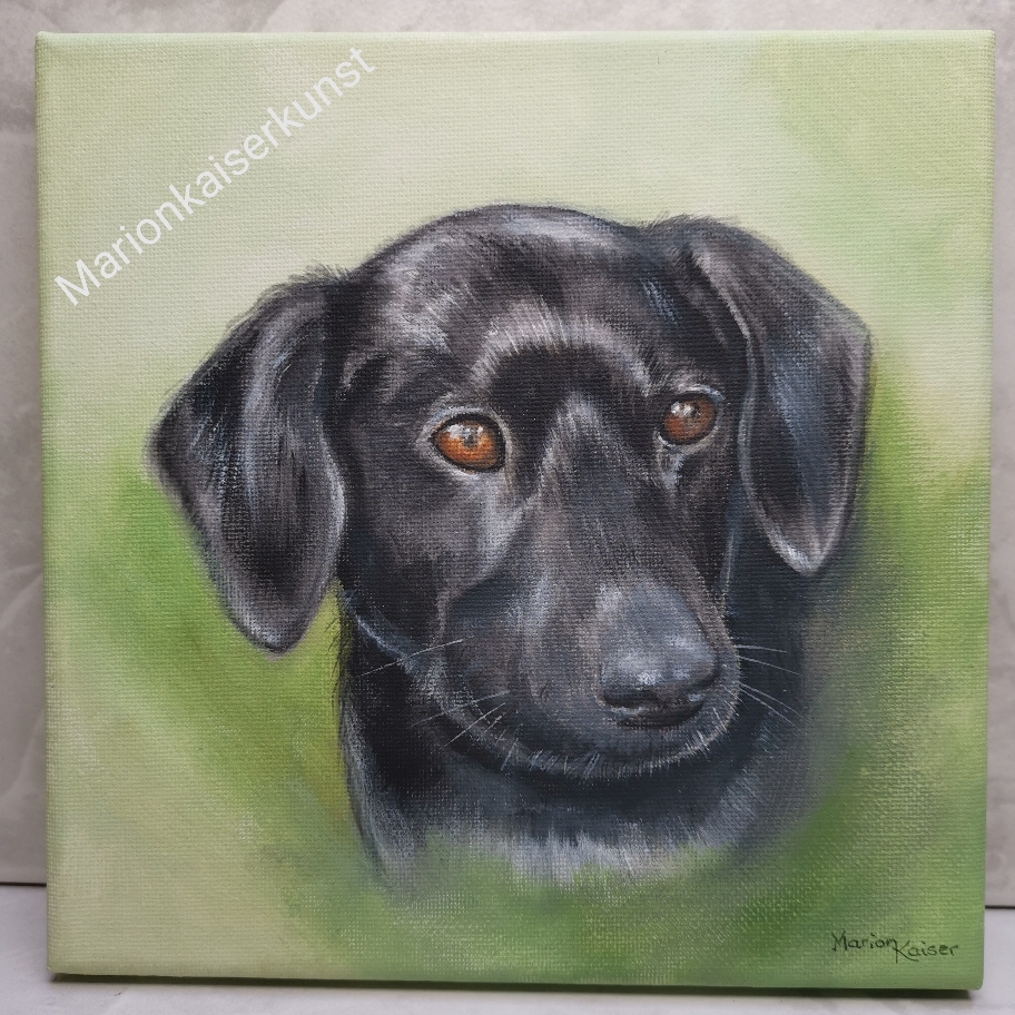 40 x 60 cm - Marion Kaiser