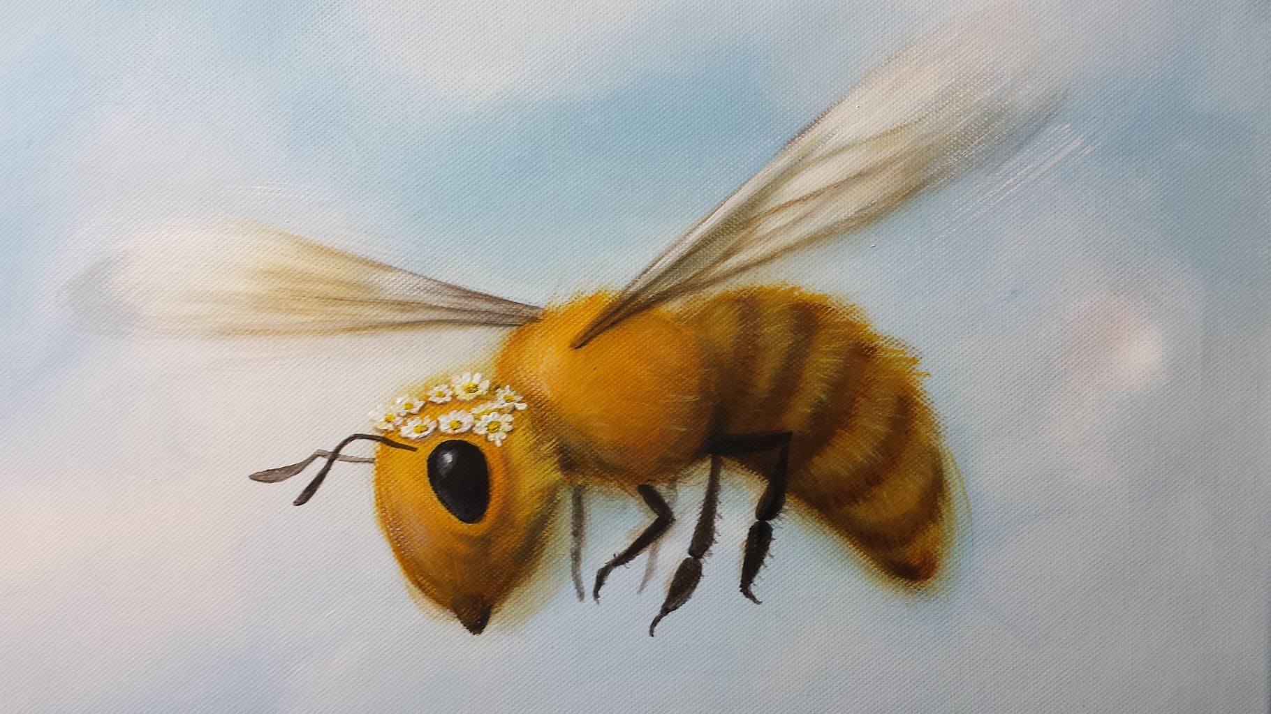 40 x 60 cm - Marion Kaiser