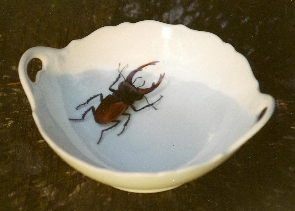 Porzellanmalerei - Marion Kaiser