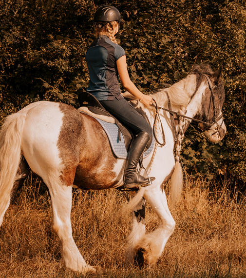 Einzelunterricht - Kleine Tinker Reitschule - Eva von Danwitz
