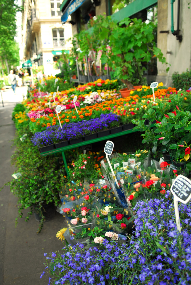 Tourism in Paris, France - Europe's Best Destinations