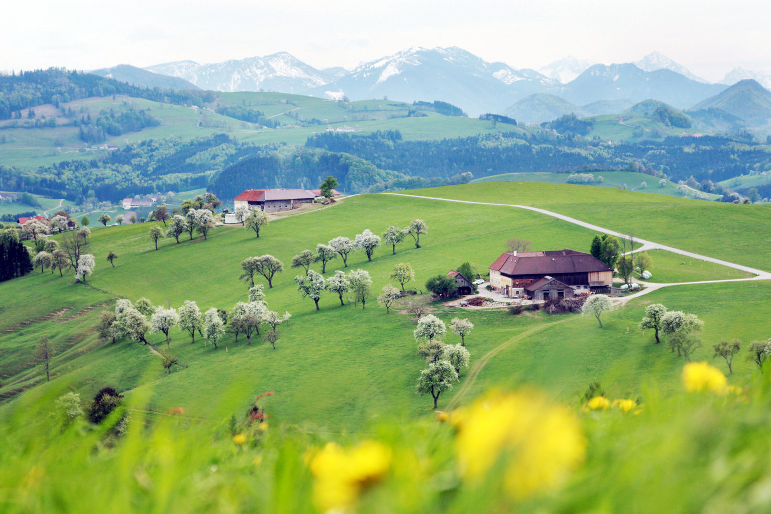 Sustainable tourism in Mostviertel, Austria - Europe's Best Destinations