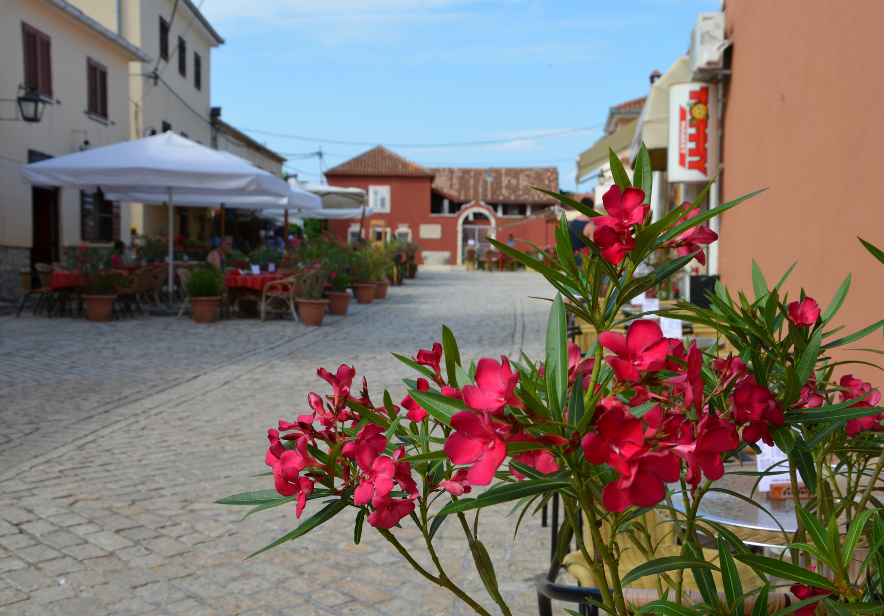 Visit Nin, Croatia - Europe's Best Destinations