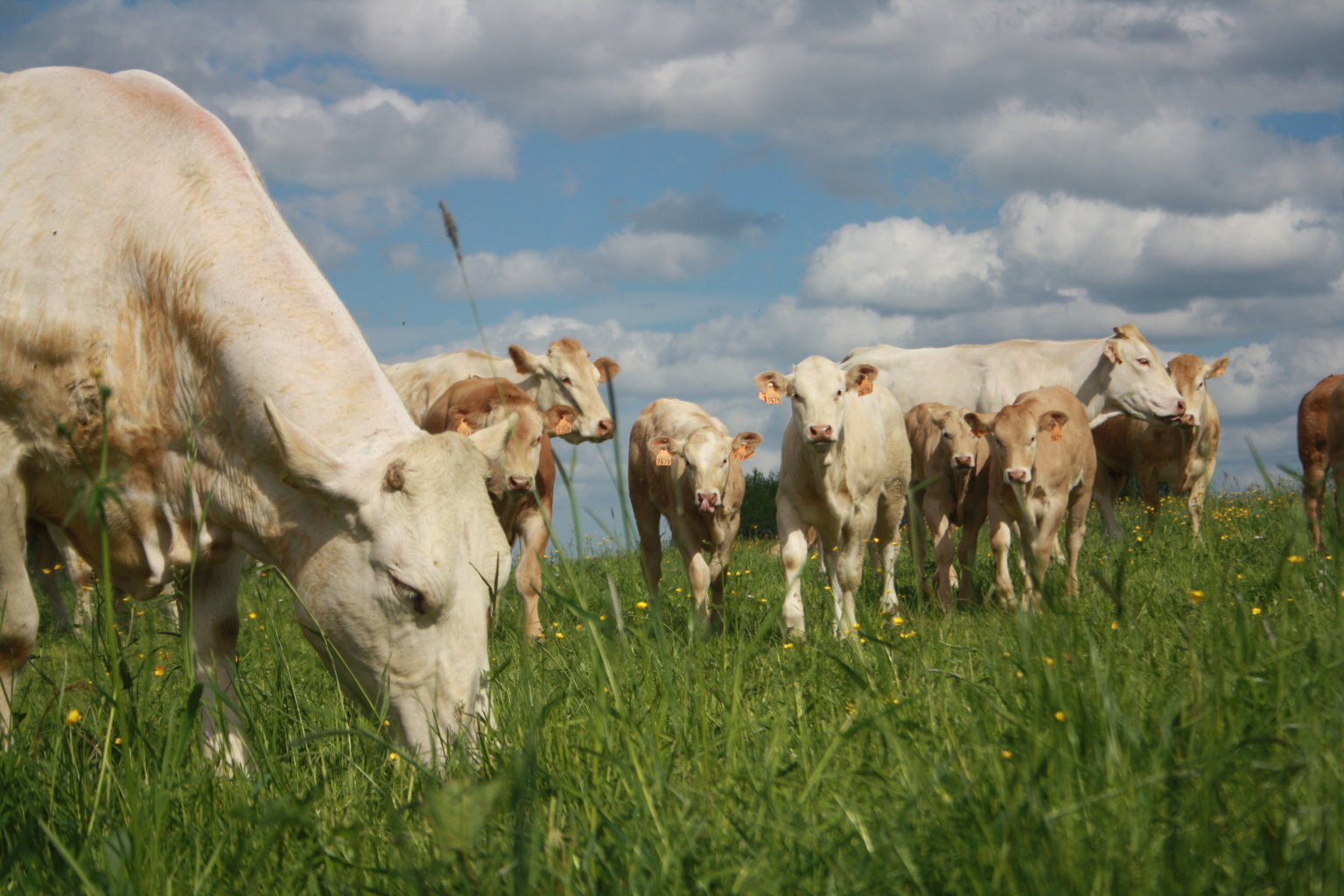 Sustainable tourism in Waimes, Belgium - Europe's Best Destinations