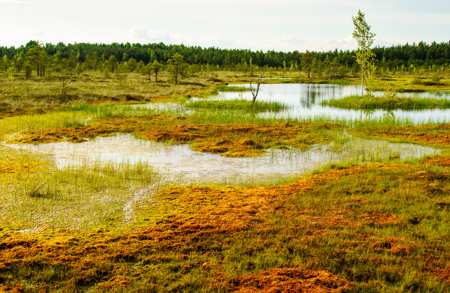 Best national parks in Europe - Europe's Best Destinations