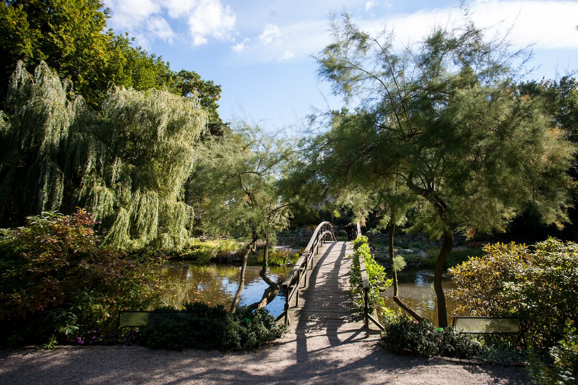 Botanical Garden, Wroclaw - Europe's Best Destinations