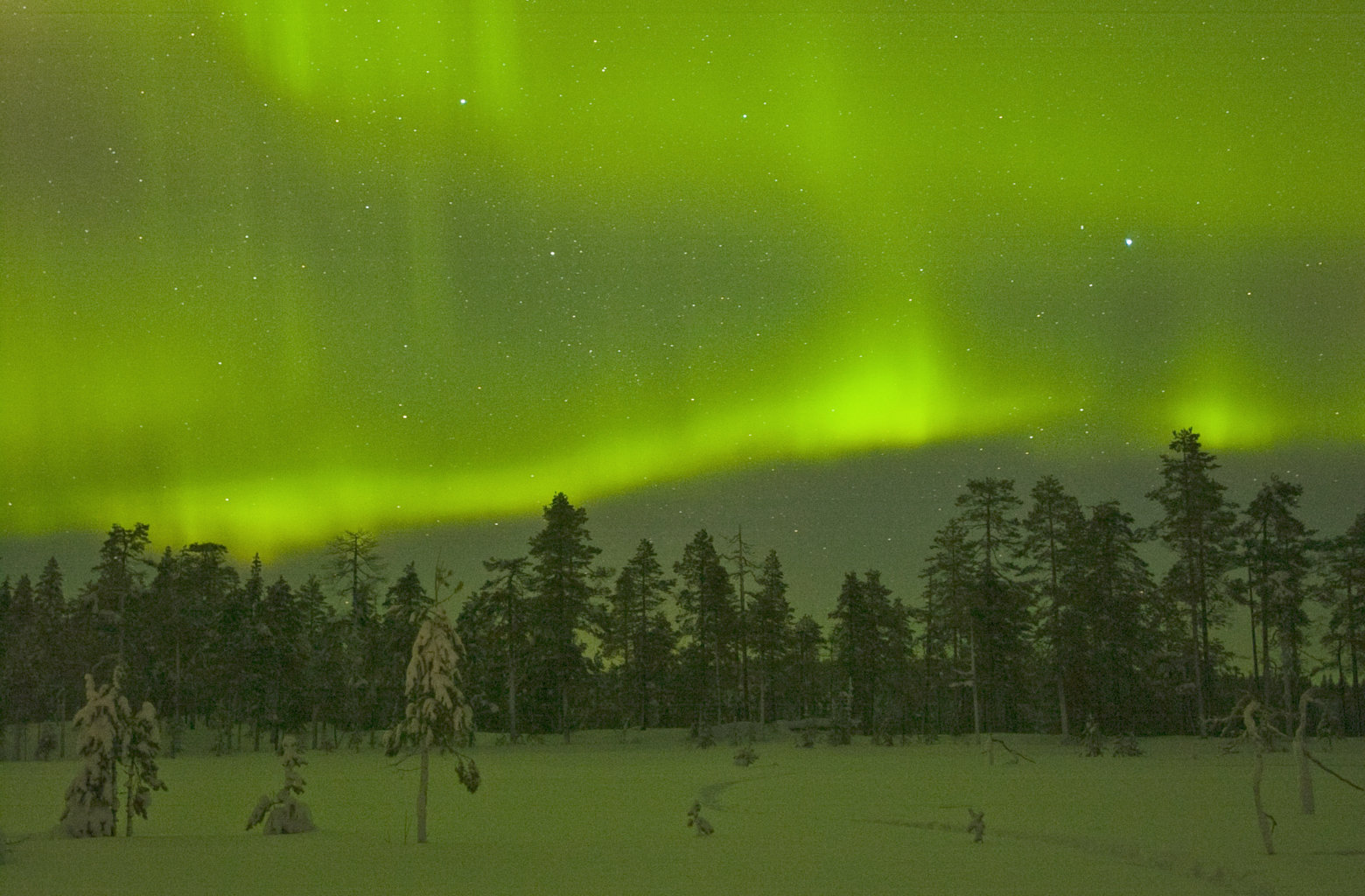 Sustainable tourism in Wild Taiga, Finland - Europe's Best Destinations