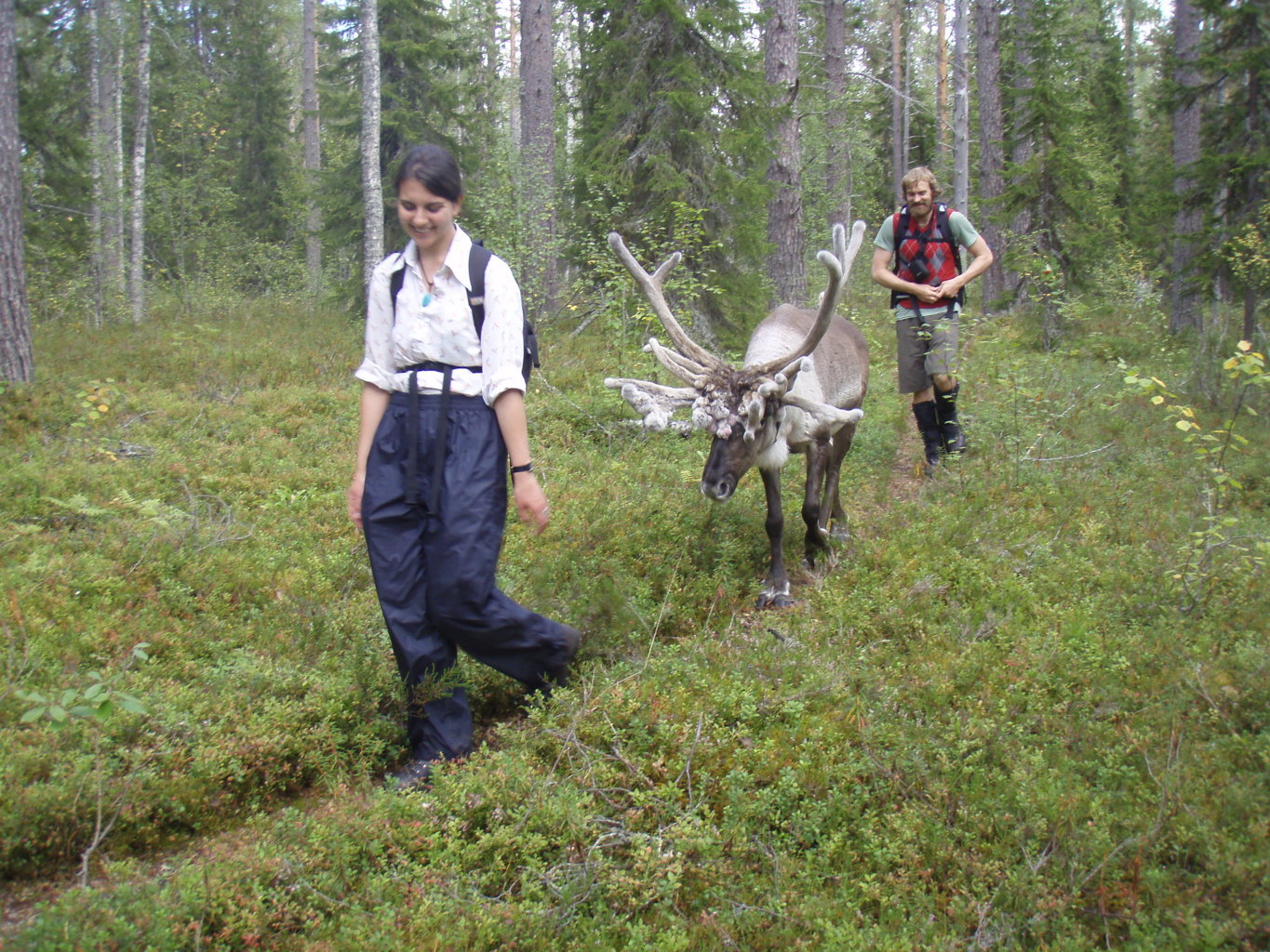 Sustainable tourism in Wild Taiga, Finland - Europe's Best Destinations