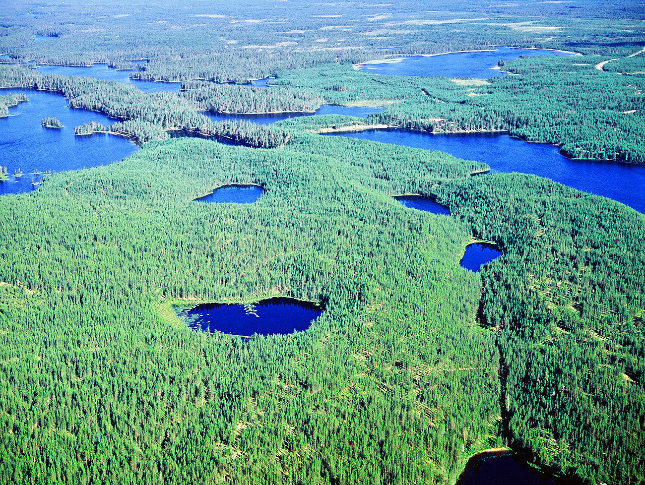 Sustainable tourism in Wild Taiga, Finland - Europe's Best Destinations