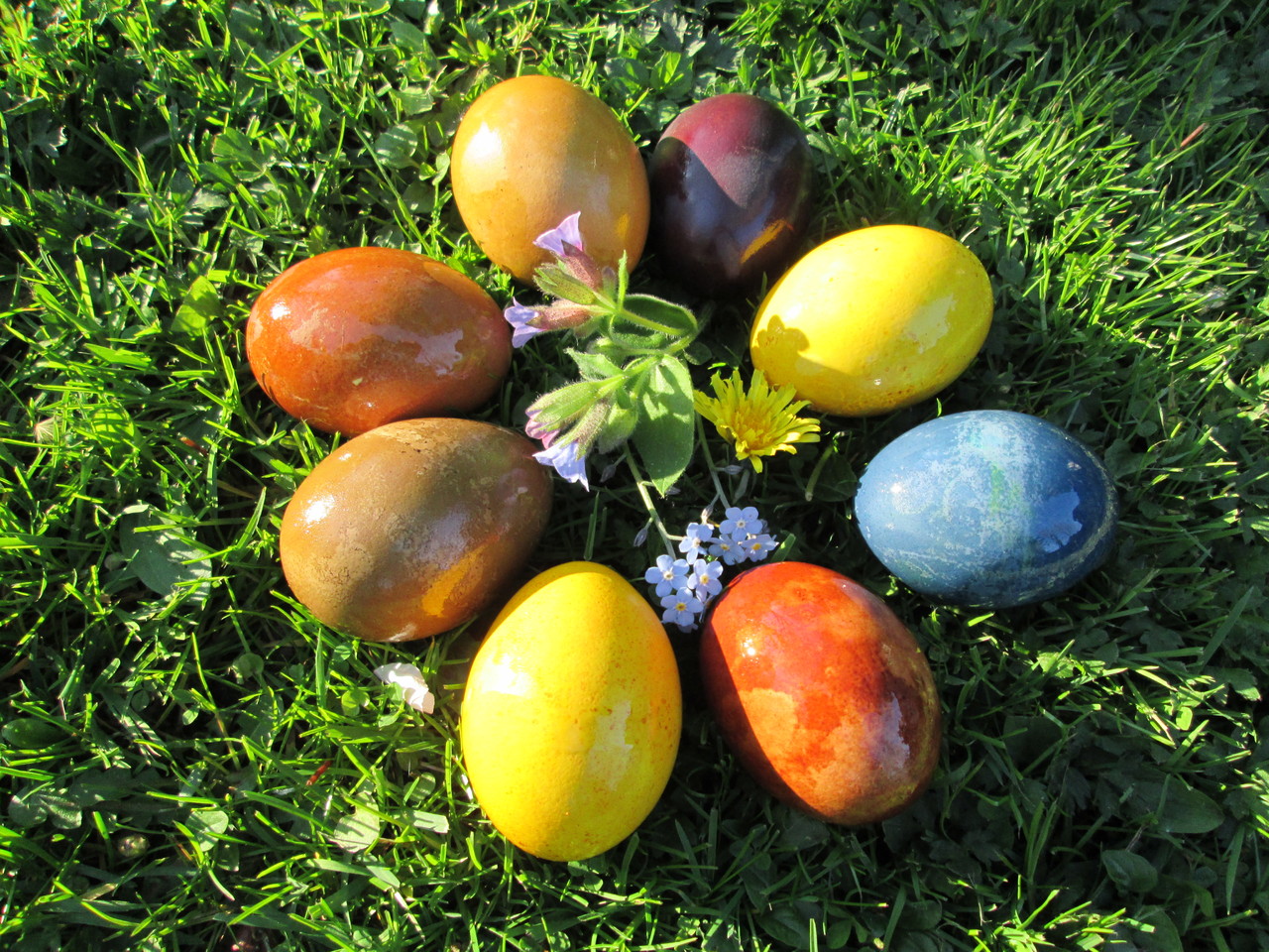 Eier färben mit Naturfarben (2014) - Naturwissenschaft im Alltag