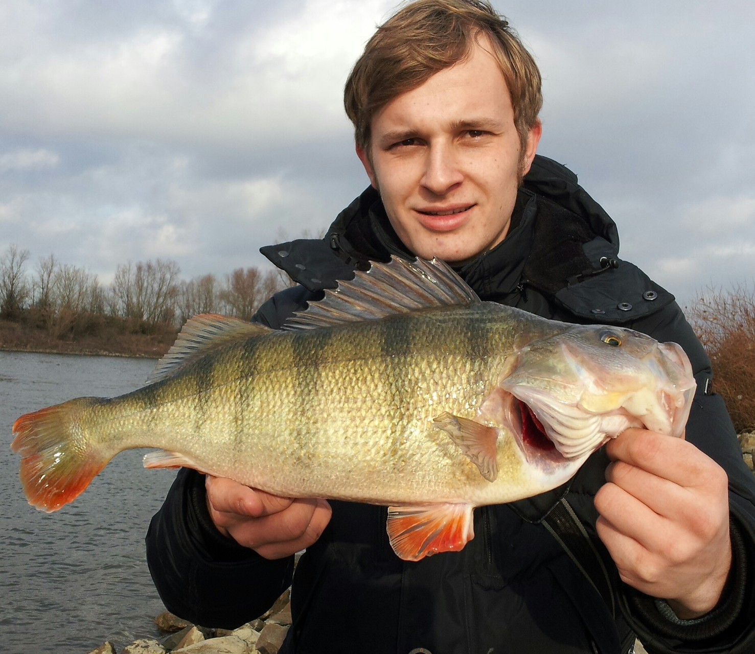 Barsch - Groß Hecht Guiding, Zander Guiding in Holland, Barsch Guiding ...
